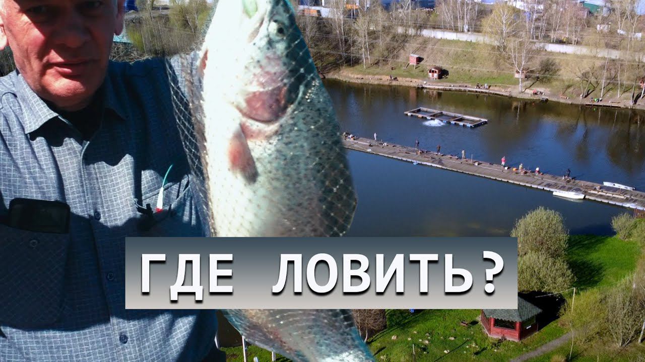 Какой платный водоём выбрать? Ловля форели.