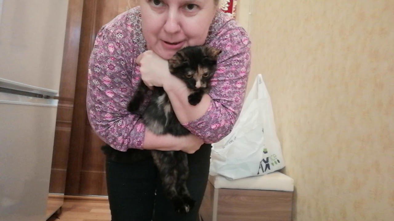 После магазина, снова обработка дома.