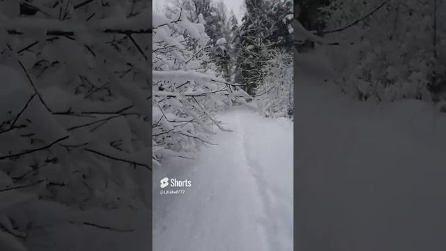 Снегопад  29 марта, Ленинградская область, Всеволожск.