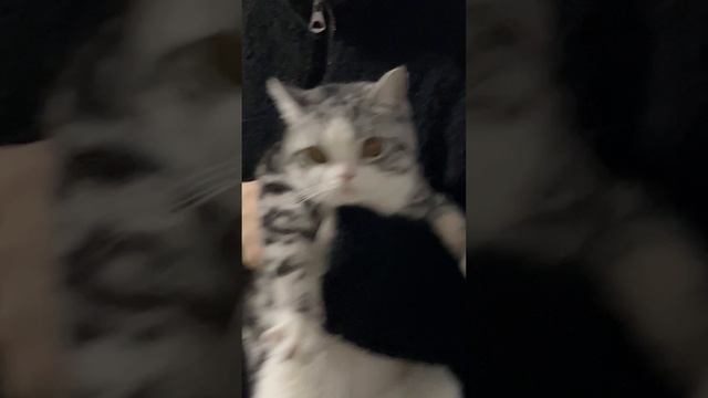 Anime.Uz: TikTok BEST VIDEO #30 #shorts