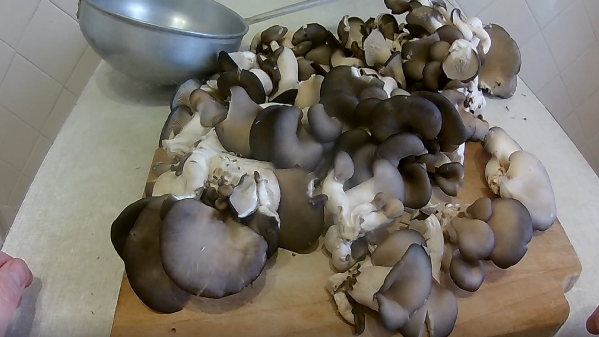 маринованные вешенки, очень быстро, очень вкусно.