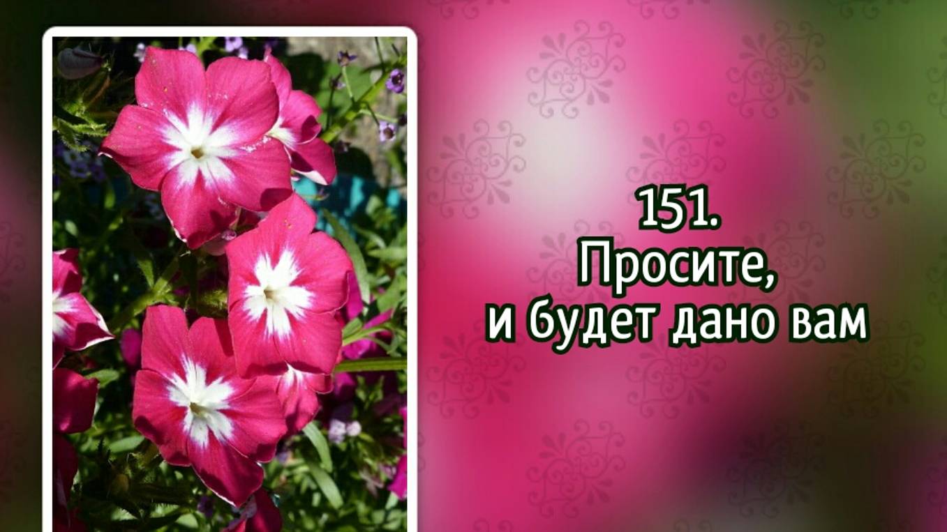 Гимны надежды 151 Просите, и будет дано вам (-)
