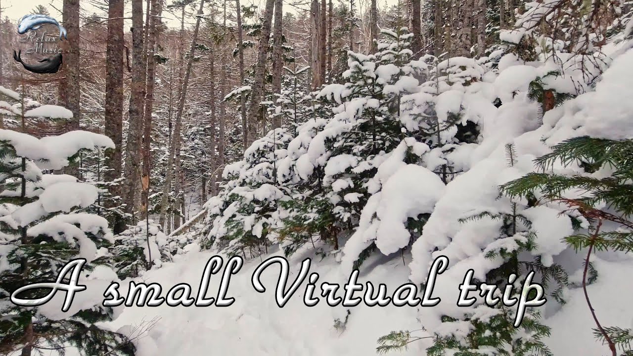 Спокойная музыка для Медитации и Снятия Стресса. Прогулка по зимнему лесу.