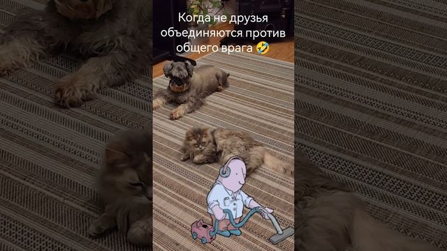 Знакомо? 🤣
