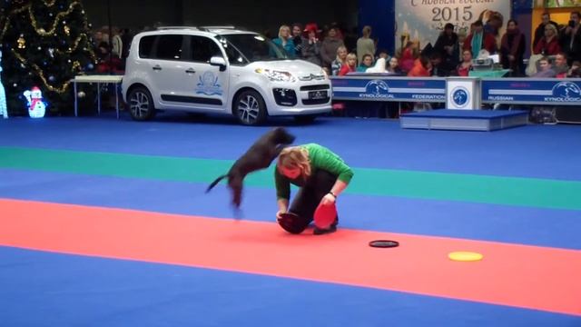 Показательные выступления - Елена и Ума.mp4