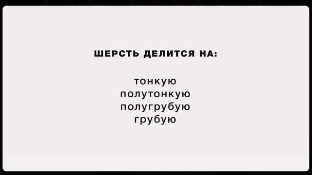 Органическая химия №3 - Белковые волокна
