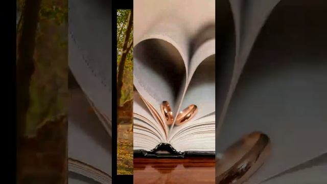 Очень красивые пары и люди...