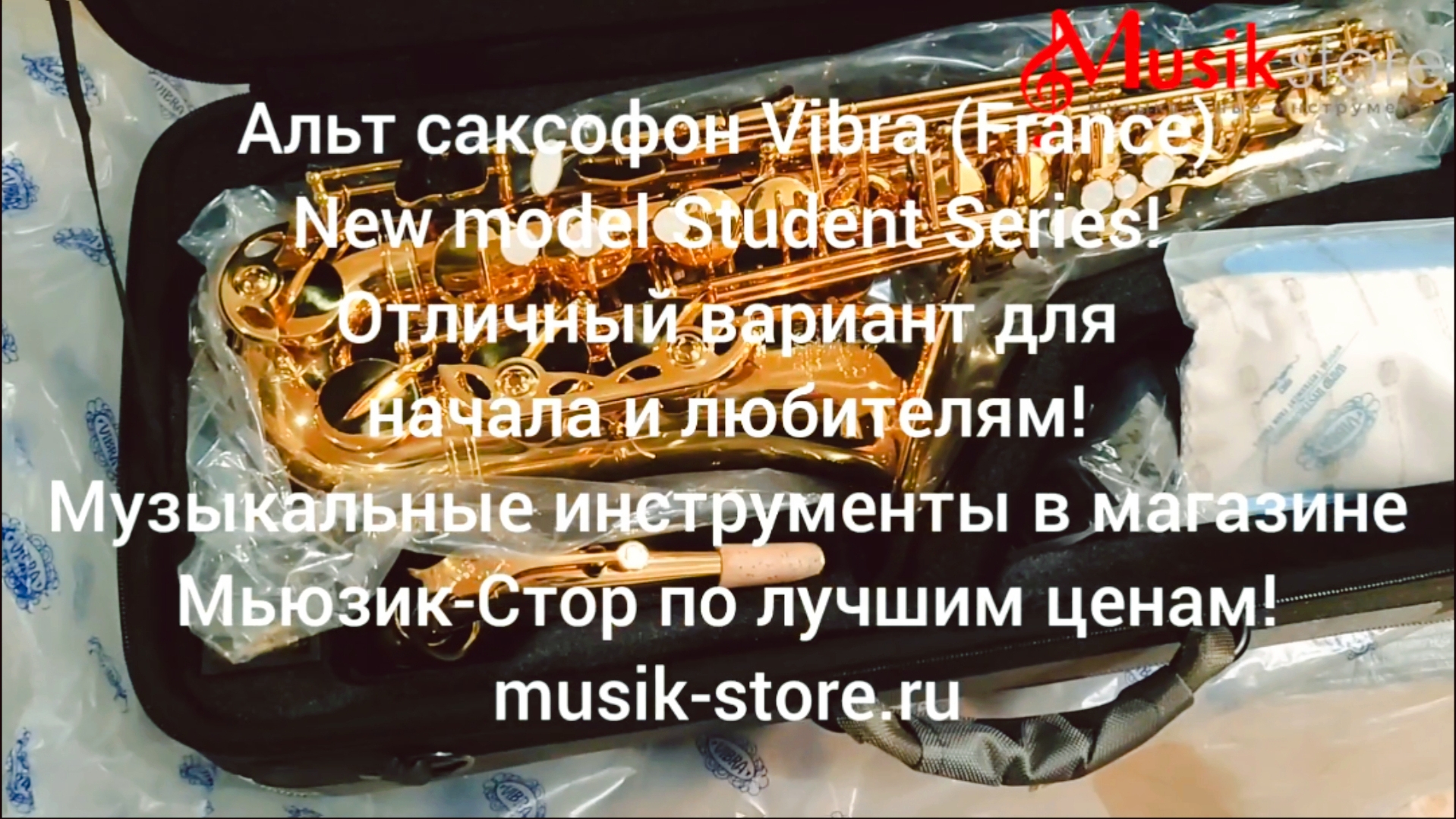 Саксофон альт Vibra France New Model Student! Какой купить саксофон?| Мьюзик-Стор/#саксофон #купить
