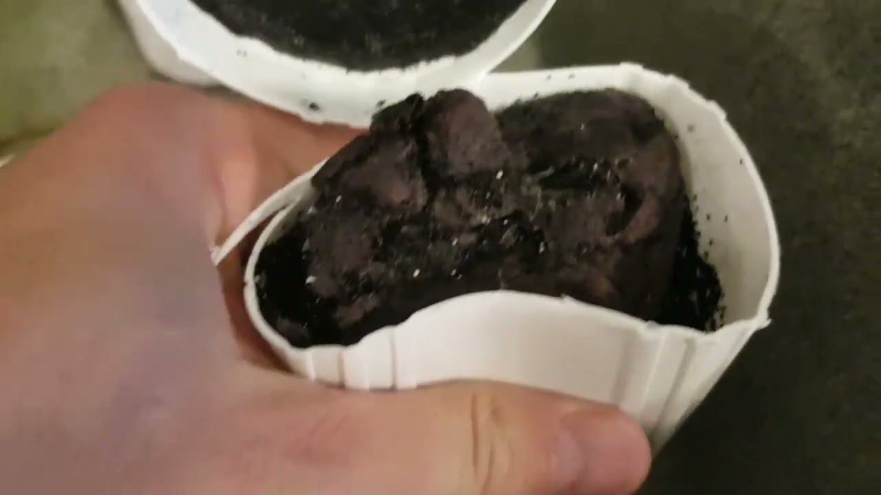 что внутри фильтра "Барьер Пост карбон"?