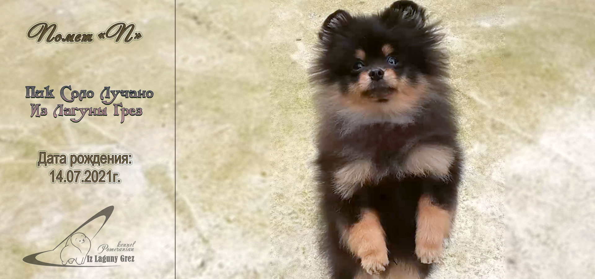 Пик Соло Лучано  Из Лагуны Грез - 7 месяцев.