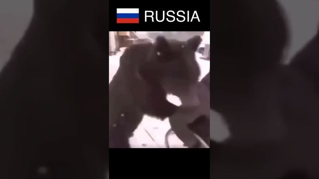Корея vs Россия