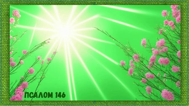 ПСАЛОМ 146