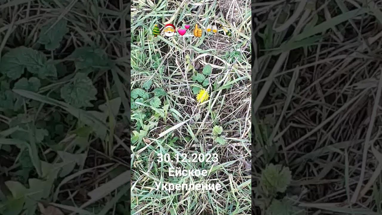 Ейское укрепление, 30 декабря 2023 г.