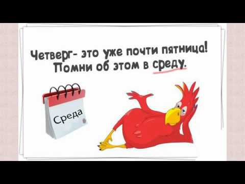 Прикол про четверг♻️ [Ольга Пак]