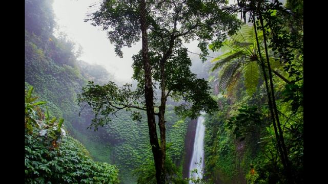 396 Гц ❯ Отпустите тревогу, беспокойство, глубокие подсознательные страхи ❯
