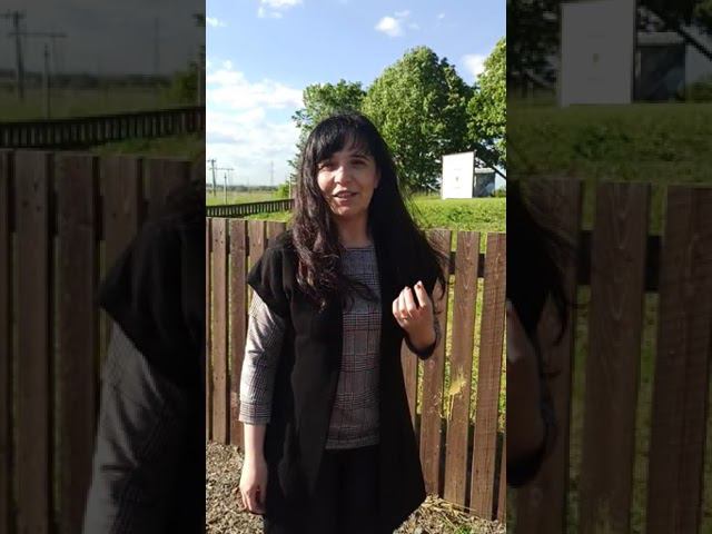 Отзыв в выпускного 2022 начальной школы, Белгород