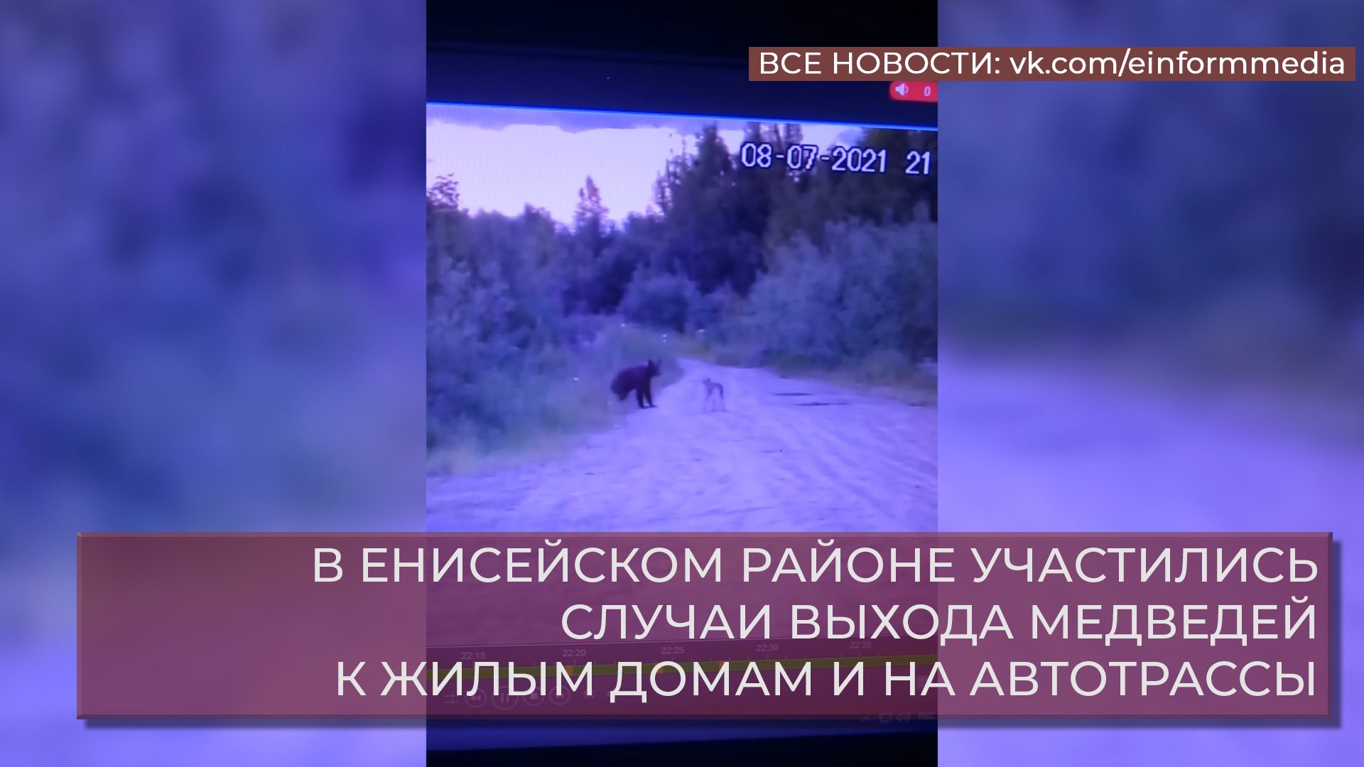 В ЕНИСЕЙСКОМ РАЙОНЕ УЧАСТИЛИСЬ СЛУЧАИ ВЫХОДА МЕДВЕДЕЙ К ЖИЛЫМ ДОМАМ И НА АВТОТРАССЫ.mp4