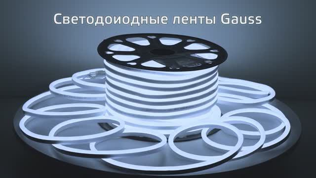Светодиодная лента Gauss 220В Неон