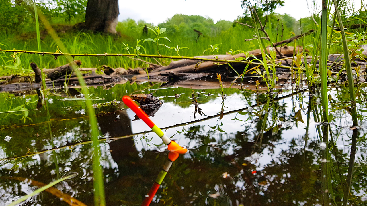 В этом Озере, полно БРОНЗОВЫХ КАРАСЕЙ! Рыбалка на поплавок, ловля в 2021