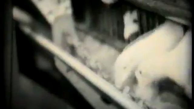 Усть-Омчуг 80-х Наш инкубатор ч 3