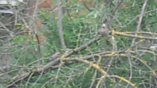 Mortal combat Jay. Part 1. 5j42f553t85