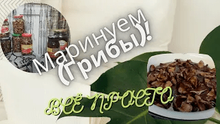 Мой рецепт маринованных грибов