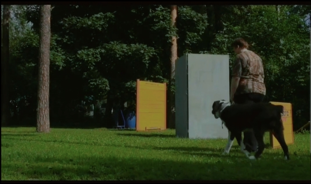 Дарик средне-азиатская овчарка
 Отражение неожиданного нападения