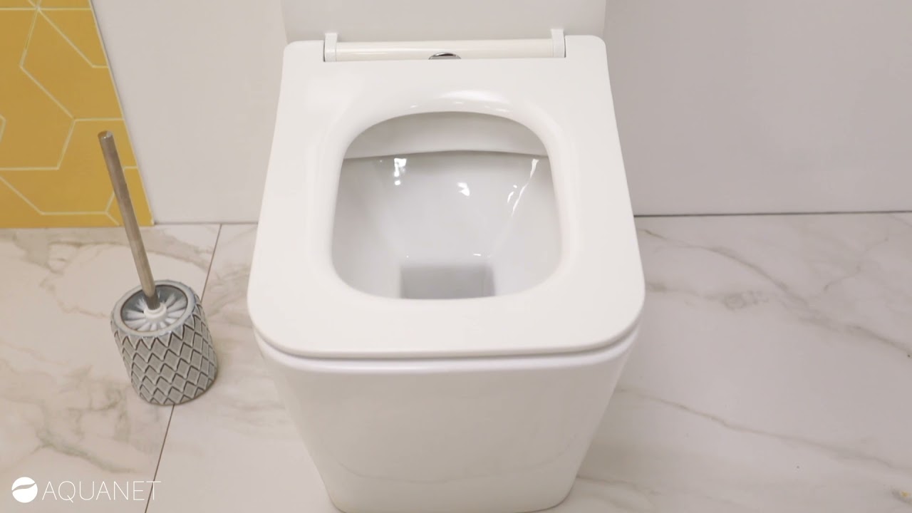 Унитаз с бачком напольный Aquanet Rimless Tavr-C1 BL-103N-TPT