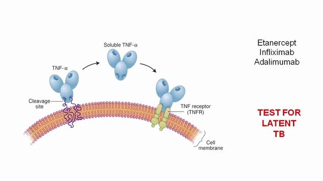 USMLE RX - 8.Анатомия - 4.Фармакология - 10.Ингибиторы ФНО-Альфа*