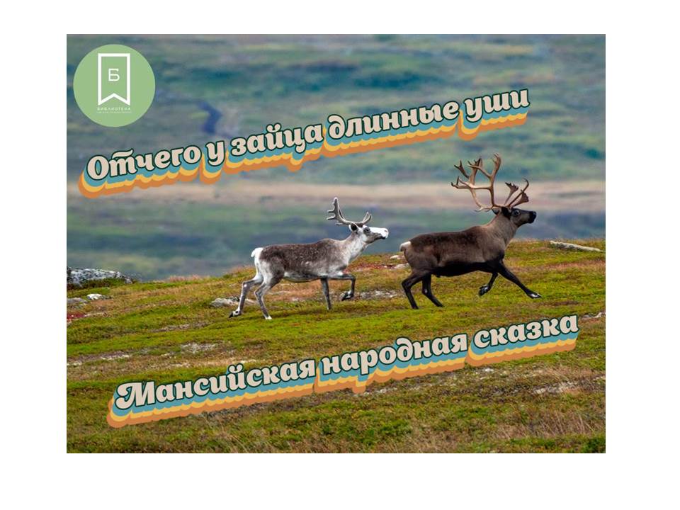Отчего у зайца длинные уши. Мансийская народная сказка