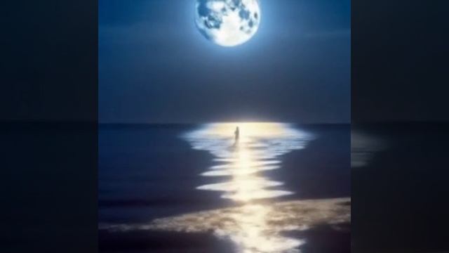 Любимая Светочка, спокойной ночи! ЛУННАЯ ДОРОЖКА