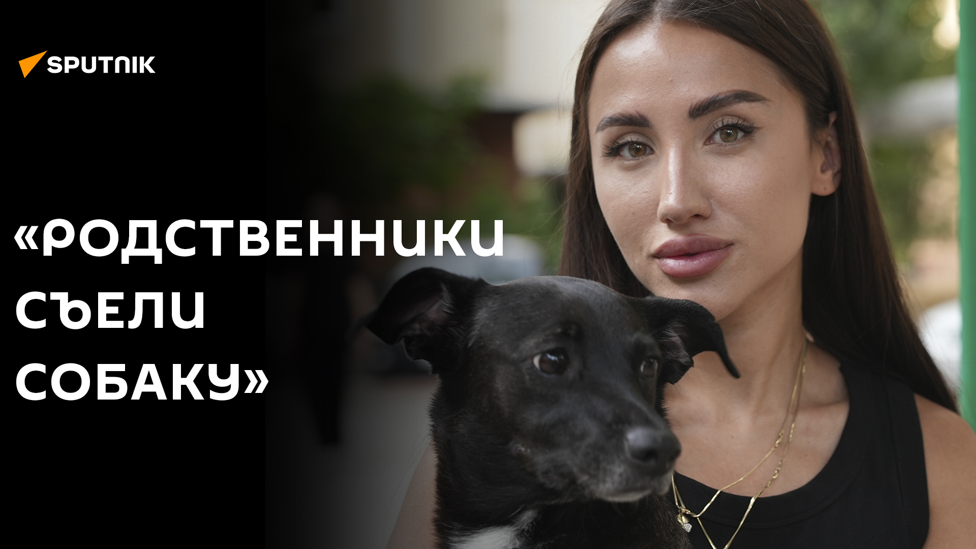 Красотка помогает бездомным собакам и тратит на них миллионы — добрая история