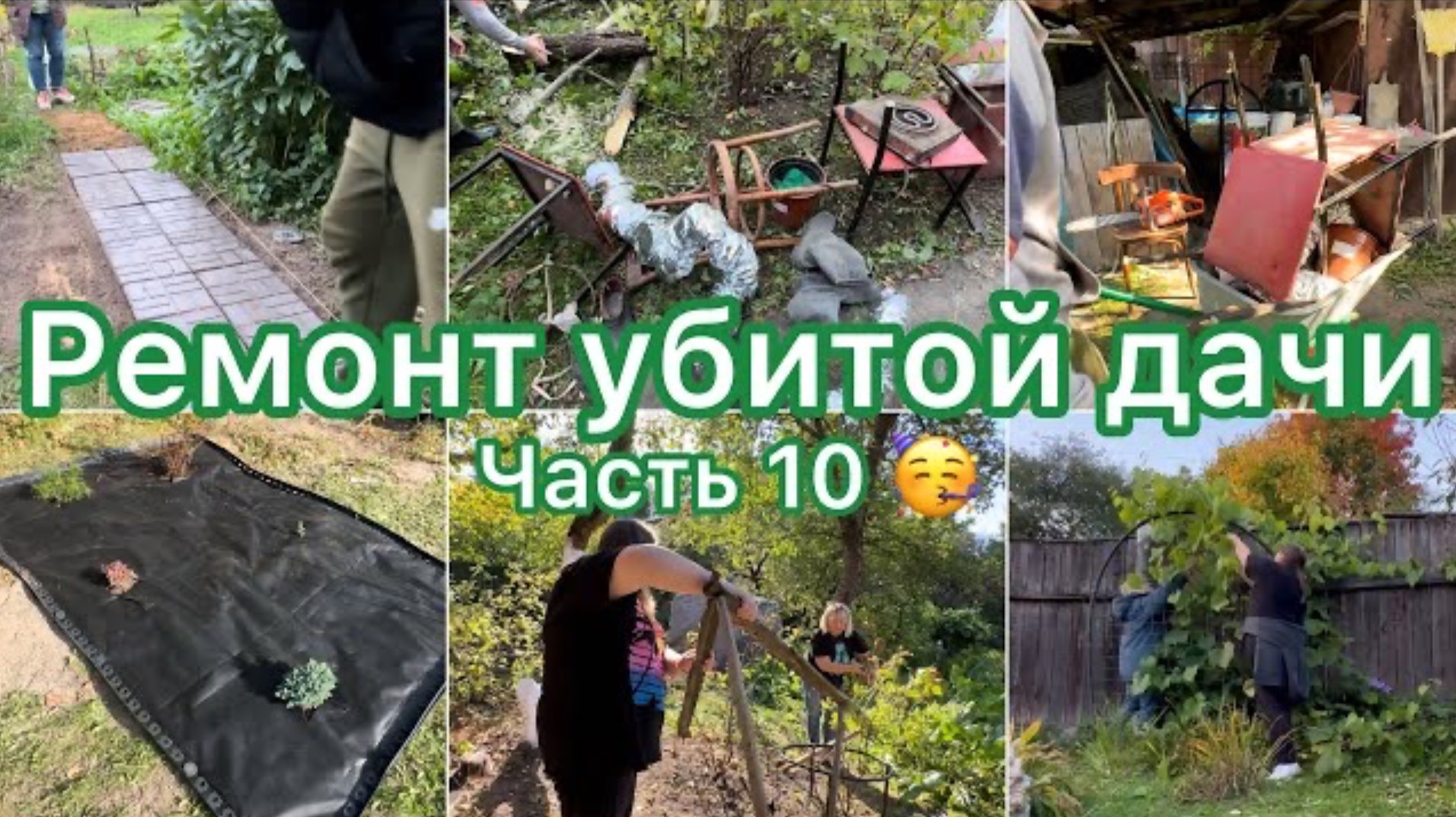 Ремонт убитой дачи. Часть 10 🥳 #Огород | Спиливаем деревья | Японский сад | #Дача #Ремонт