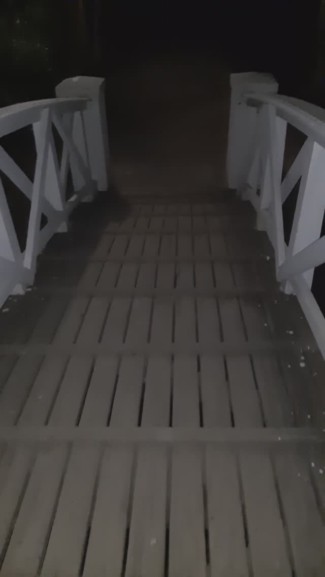 ночная УСАДЬБА ОСТАФЬЕВО (11)