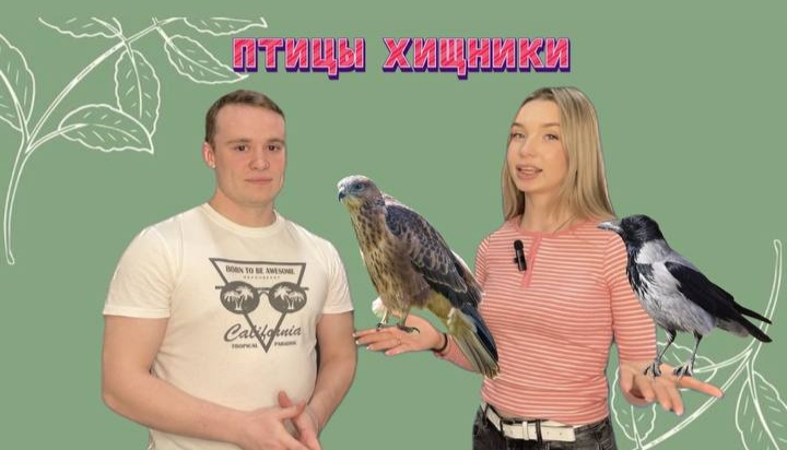 Животный мир. Птицы хищники.