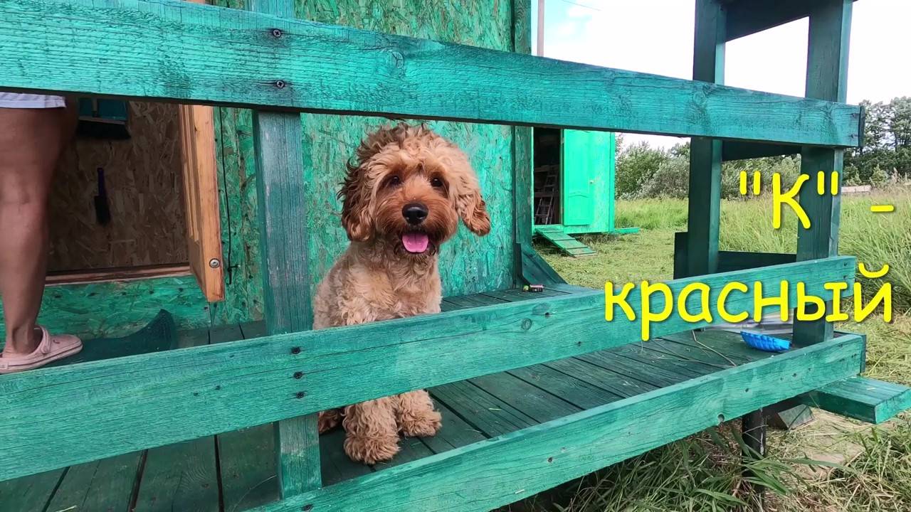 К&Б в траве на дачке.