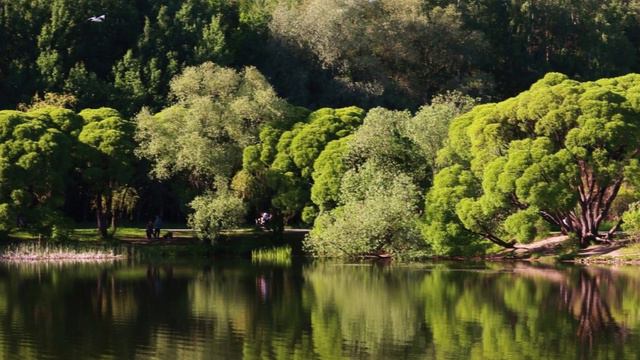 "ЛЕТНЯЯ БЛАГОДАТЬ" (Покровское-Стрешево) - (Фото Н. Кондакова (М). - Rehdad Bachrami Reza Taibakh