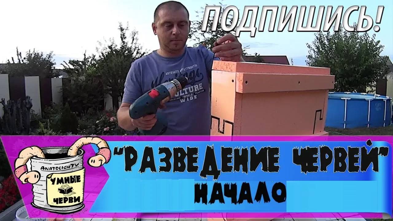 Черви - как бизнес. Начало разведение червей.