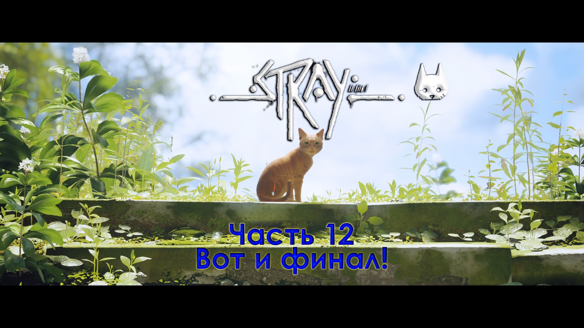 Stray. Часть 12. Вот и финал!