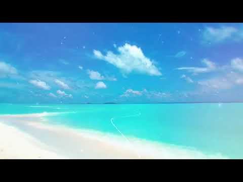 Новый Завет