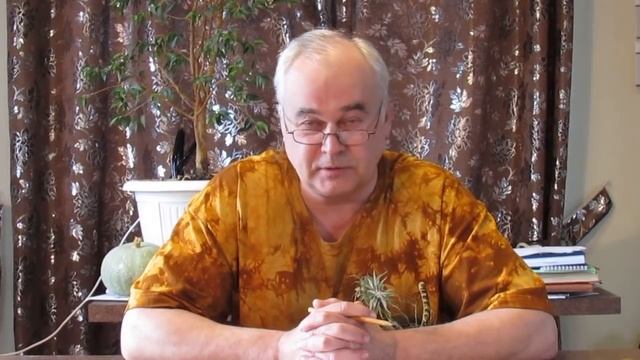 Брага не бродит. Что делать?