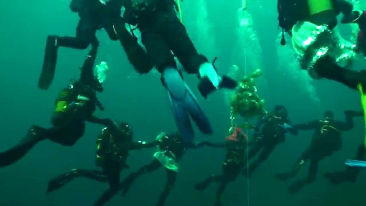 Дайв-ёлочка 2015. Аква-Эко