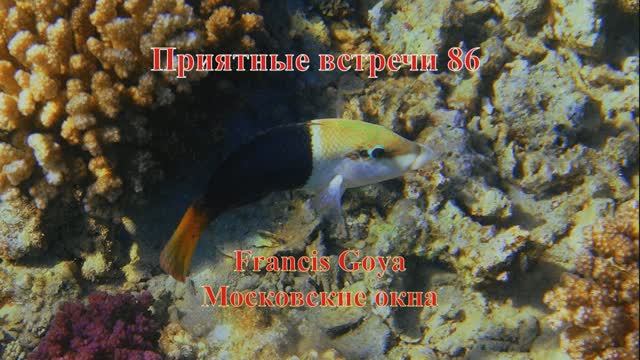 Приятные встречи 86 Губан толстогубый черно-белый черноглазый музыка Francis Goya Московские окна