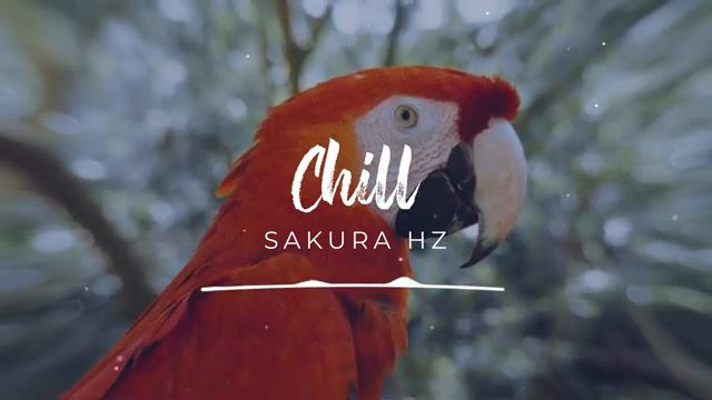 Музыка без авторских прав — 'Chill' by Sakura Hz 🇧🇷 - Relaxing Music For YouTube