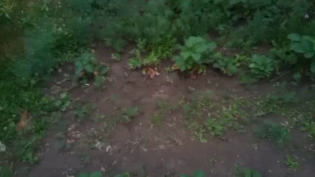 мороженщик в реальной жизни 3 серия 1 сезон финал