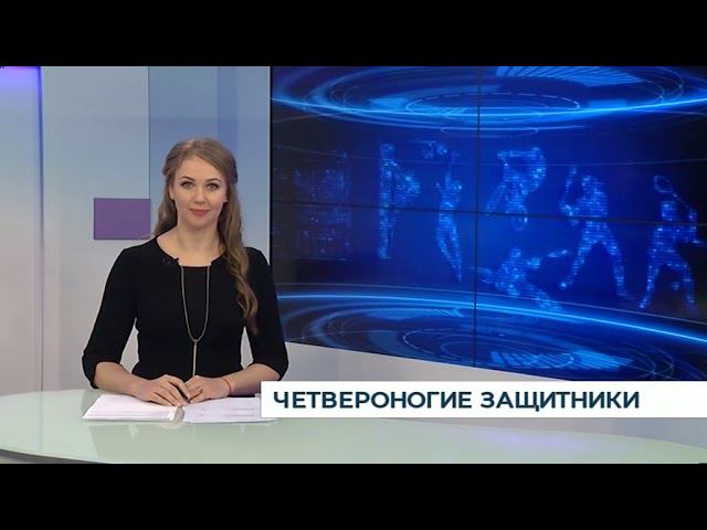 Выпуск 23.02.2020 (часть 2)