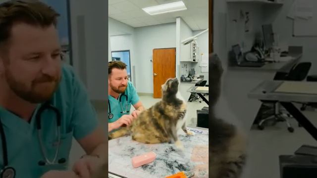 Док, ты божествен