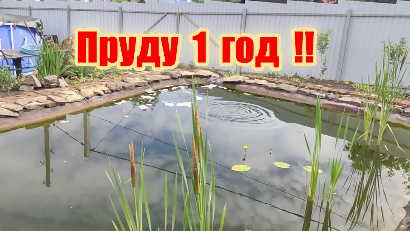 Пруду 1 год что с ним стало !