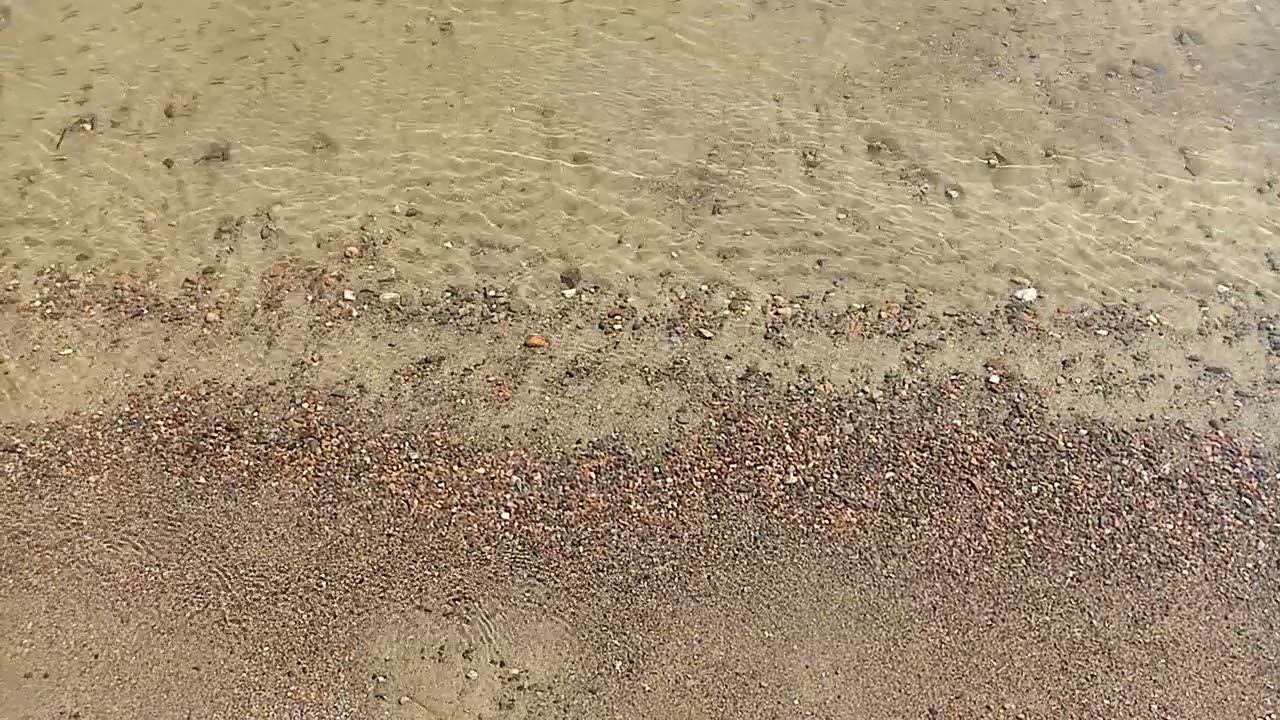 Вода Телецкого озера. Южный берег