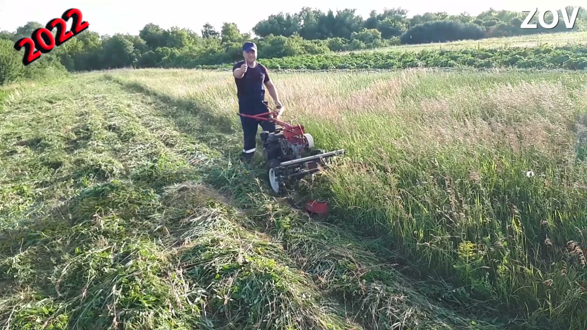Сенокос мотоблоком 2022г. Все прошло успешно!!!